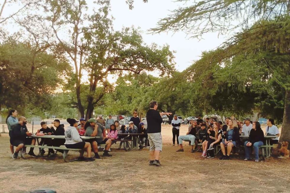 Going Batty in 2025: A Record-Breaking Season Wraps Up | The Neal ...